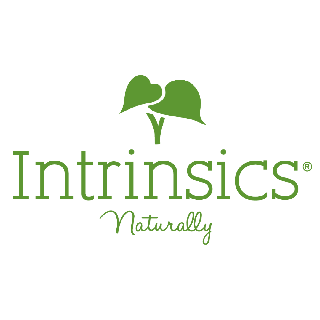 Intrinsics Home Page